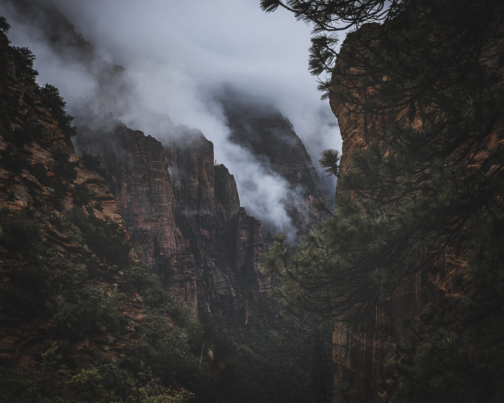 Adam Hallstrom - Scout Lookout Near Angel's Landing - Nancy Merkling ...